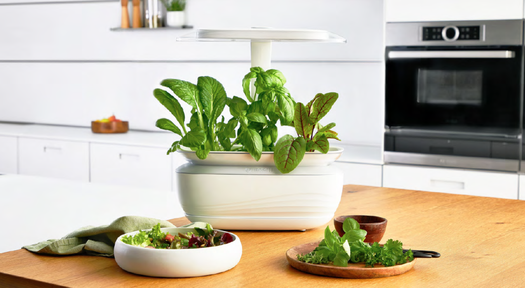 Potagers d’intérieur : consommer en circuit court, de la cuisine à l ...