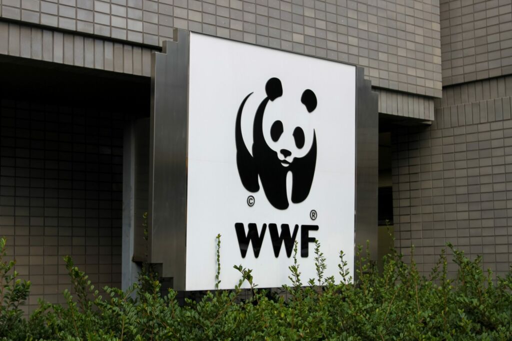 Le WWF utilise l’IA pour montrer un sombre futur de la nature