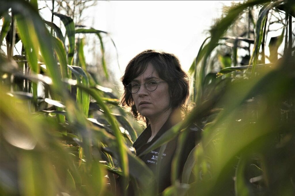 “Highway 65” : c'est quoi ce film sacré à Reims Polar