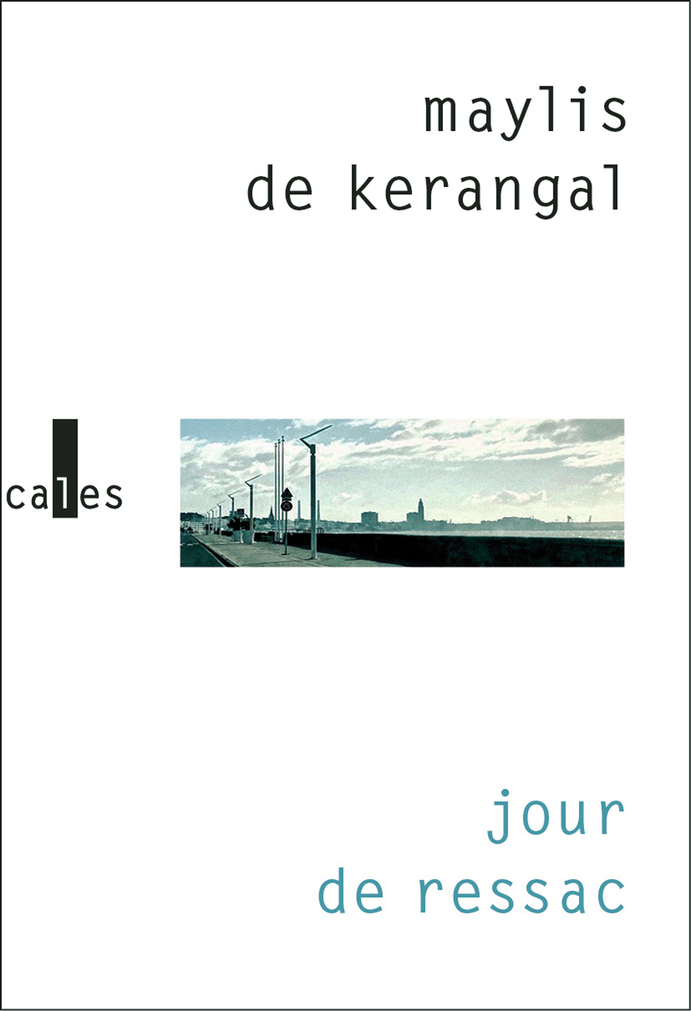 Goncourt 2024 : que vaut “Jour de ressac” de Maylis de Kerangal